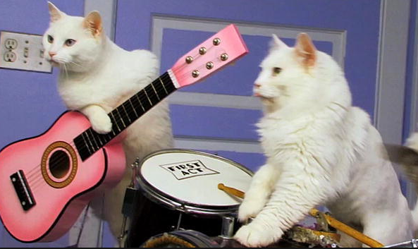 Elsie and Cat's Travel Adventures - SANE Forums